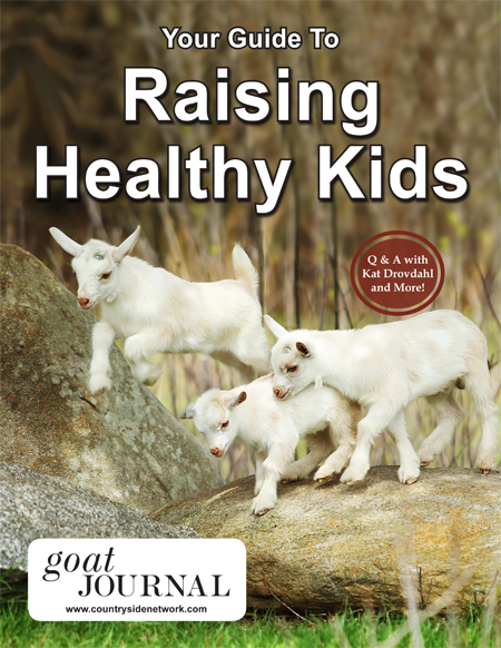 Your Guide to Raising Healthy Kids Flip Book - Goat Journal